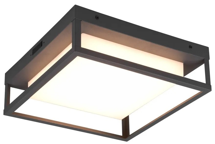 LED nástěnné venkovní svítidlo (výška 10 cm) Witham – Trio