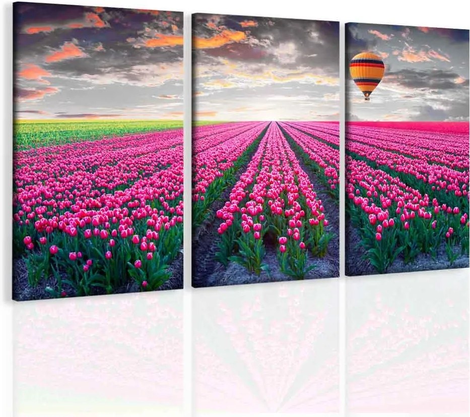 Malvis Malvis Obraz růžové moře  120x60 cm