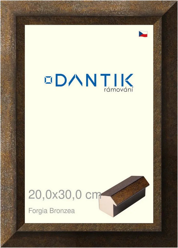DANTIK rámeček 20x30 | Forgia Bronzea (Sklo Čiré)