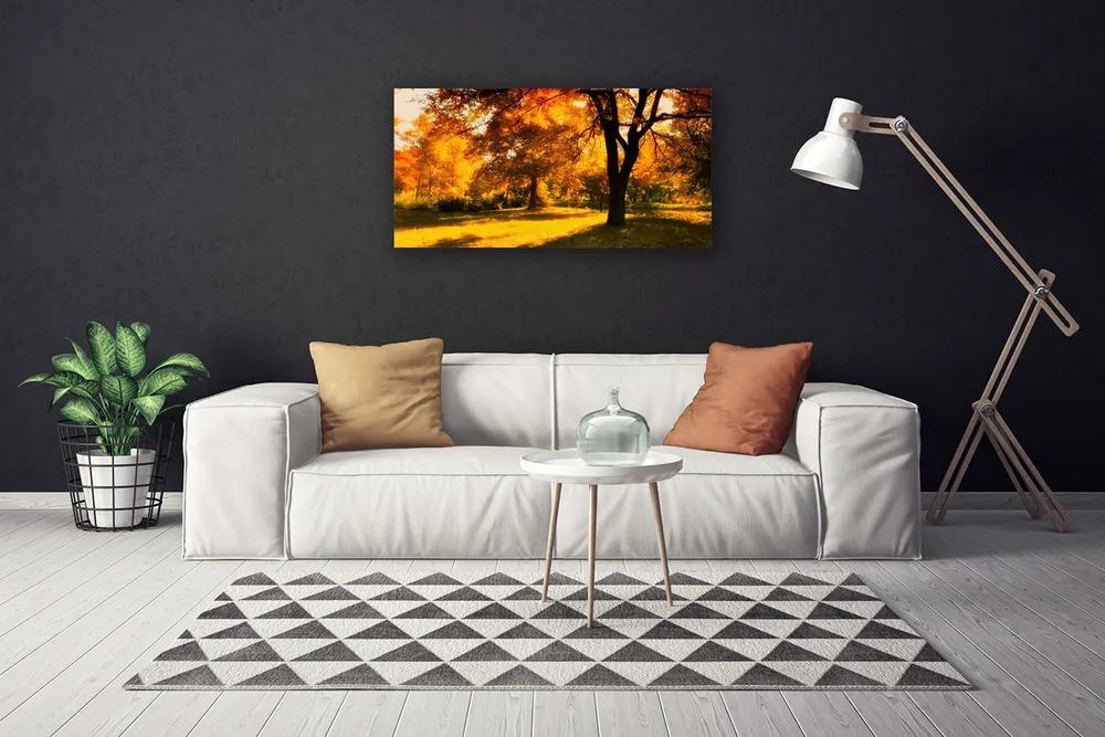 Obraz na plátně Stromy Podzim Příroda 125x50 cm