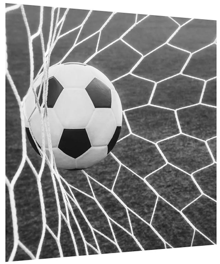 Fotbalový míč v síti (50x50 cm)