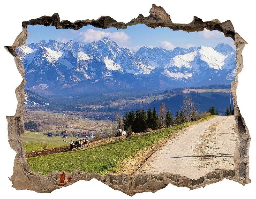 Wallmuralia Samolepící nálepka beton Panorama Tatry 95x64 cm