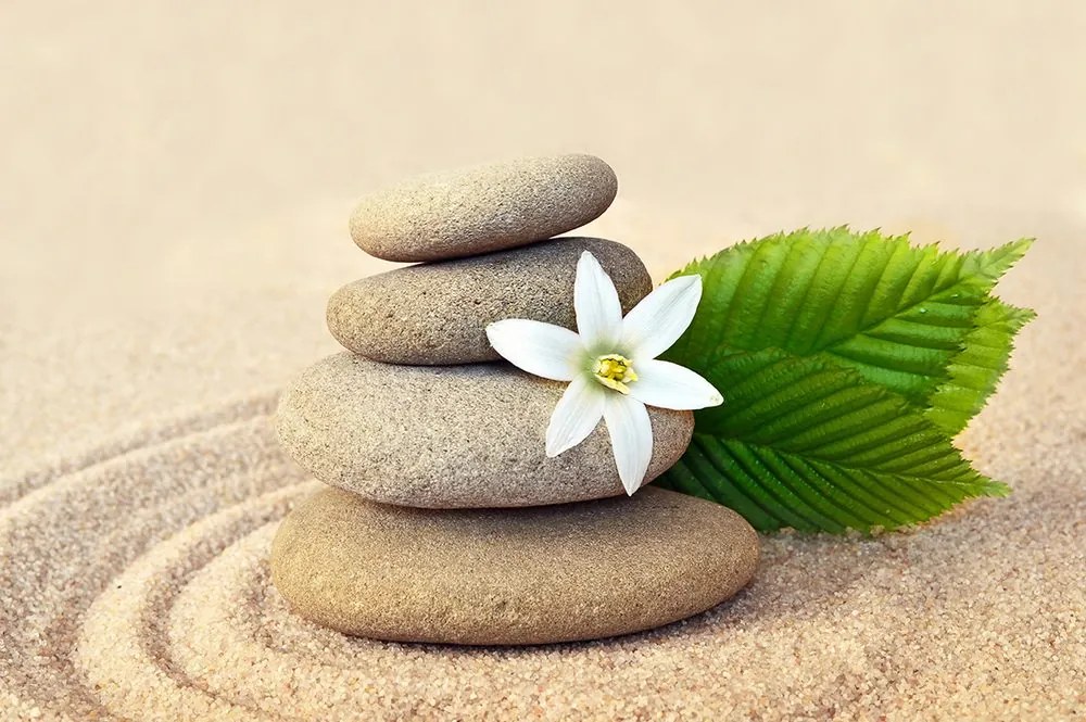 Fototapeta bílý květ a kameny v písku