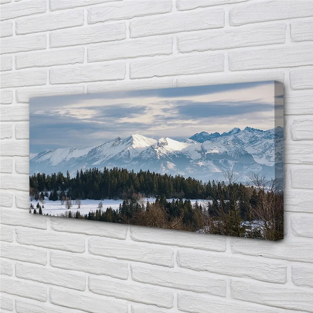 Obrazy na plátně horské zimní 120x60 cm