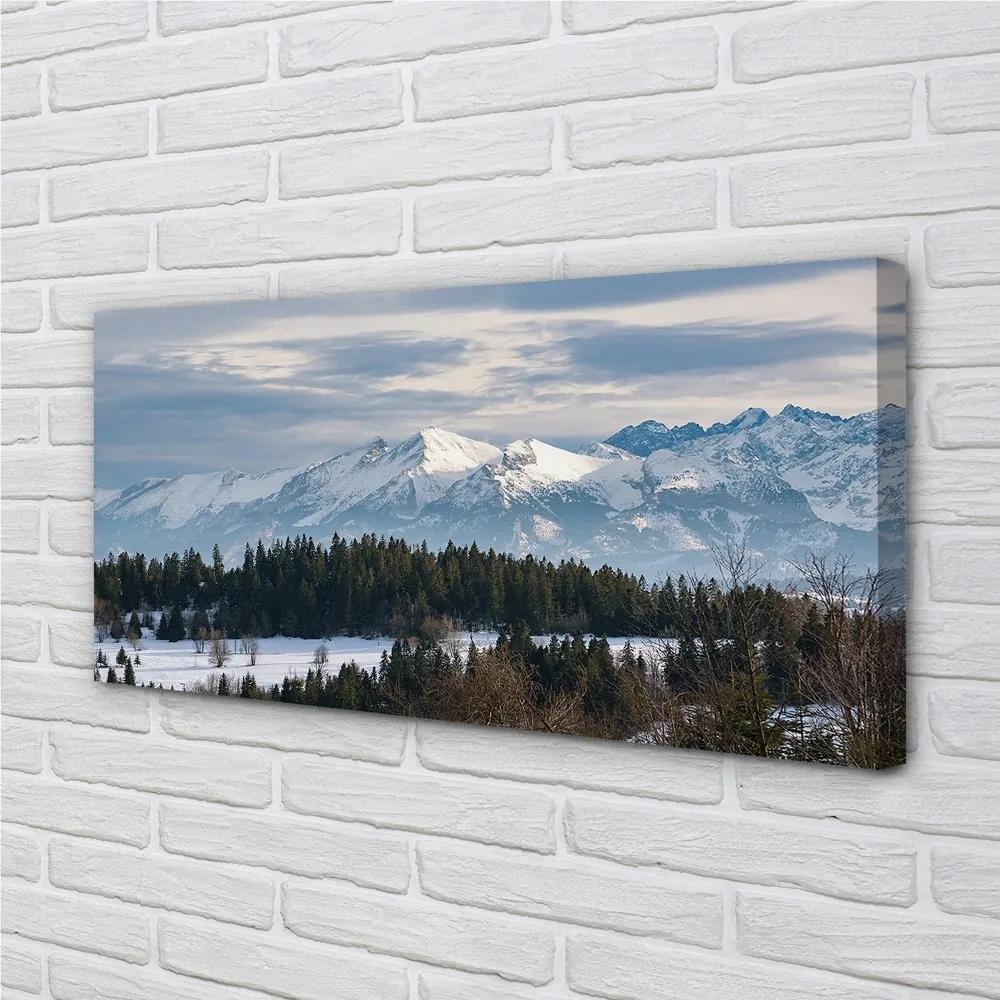 Obrazy na plátně horské zimní 125x50 cm
