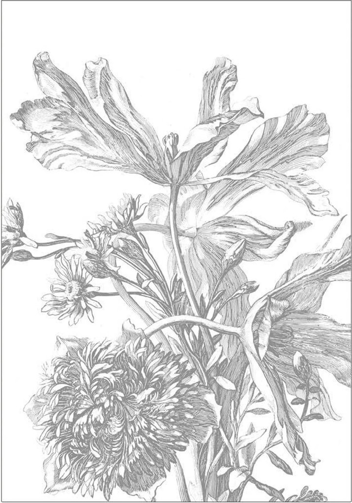 Tapeta Engraved Flowers