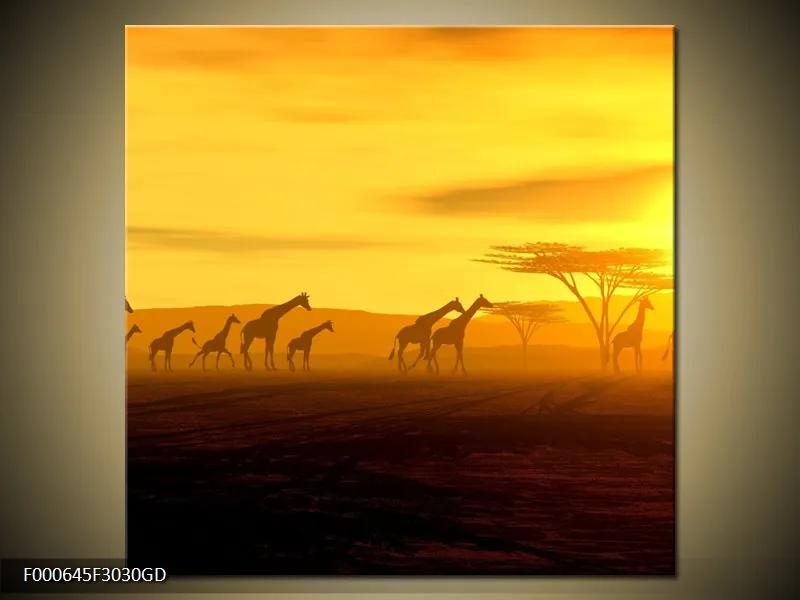 Obraz žiraf v safari (), 40 dalších rozměrů