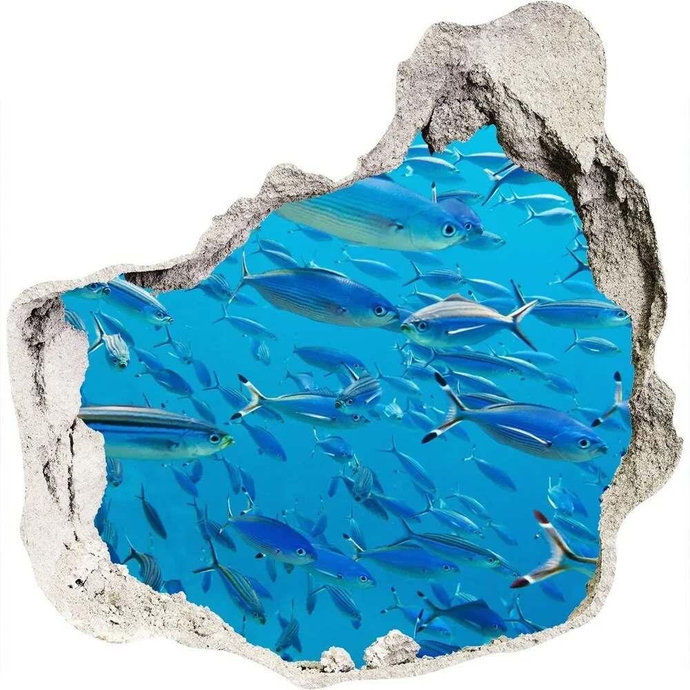 Wallmuralia Díra 3D fototapeta nálepka Korálové ryby 75x75 cm