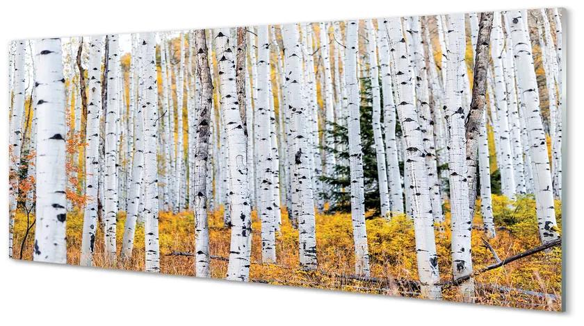 akrylový obraz podzimu bříza 120x60 cm
