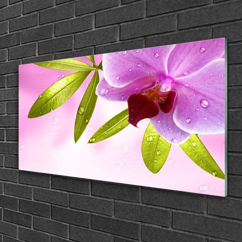 Obraz na skle Květ Listy Rostlina 125x50 cm