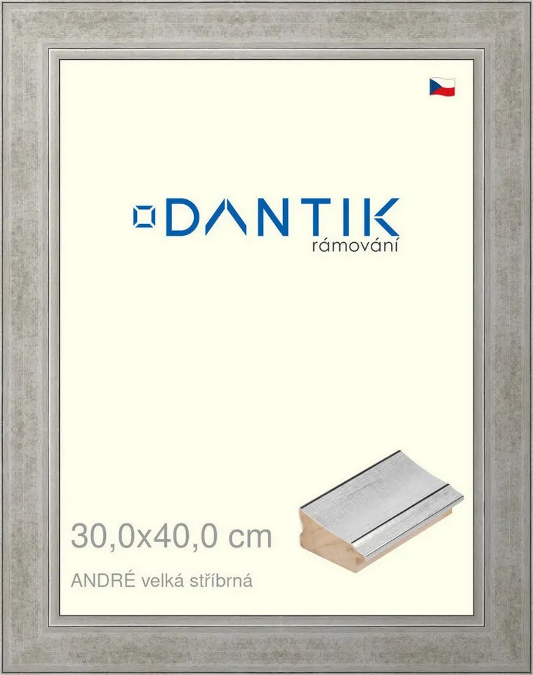 DANTIK rámeček 30x40 | ANDRÉ velká stříbrná (Plexi Čiré)