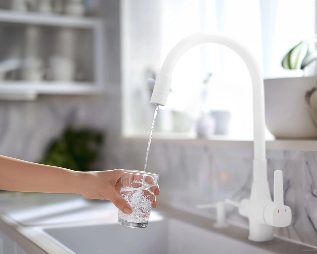 Invena Magic, stojánková dřezová baterie s flexibilním ramenem a filtrem na pitnou vodu, bílá matná, INV-BZ-02-F02-V
