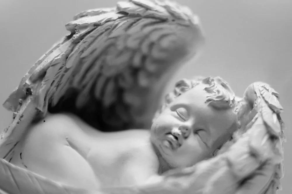 Obraz malý andílek v černobílém provedení - 120x80 cm