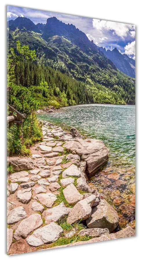 Wallmuralia Vertikální Fotoobraz na skle Mořské oko Tatry 50x100