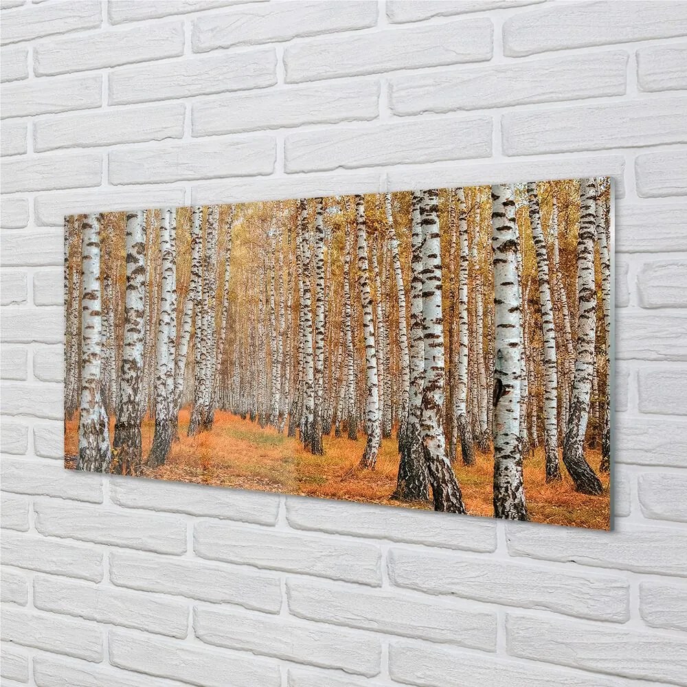 Obraz na skle podzimní stromy 120x60 cm