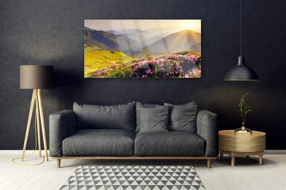 akrylový obraz Hora Louka Krajina 120x60 cm