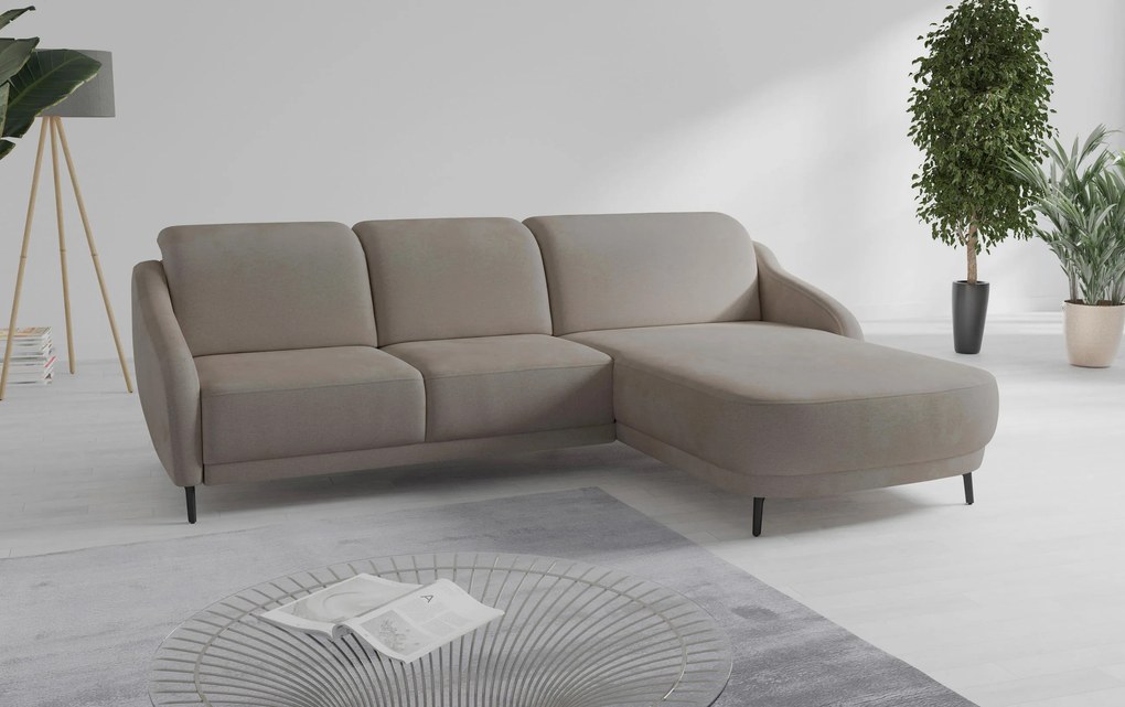 XXXLutz ROHOVÁ SEDAČKA, textil, barvy lískového ořechu Sit & More - Sedací soupravy - 000144024130