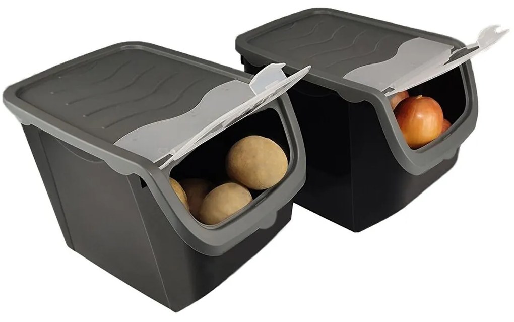 Orion Skladovací box na cibuli a brambory, černý a šedý (12l)