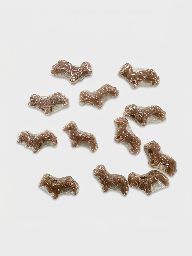 Sinsay - Vonný vosk ve tvaru jezevčíka Carmel Pumpkin 12 pack - hnědá