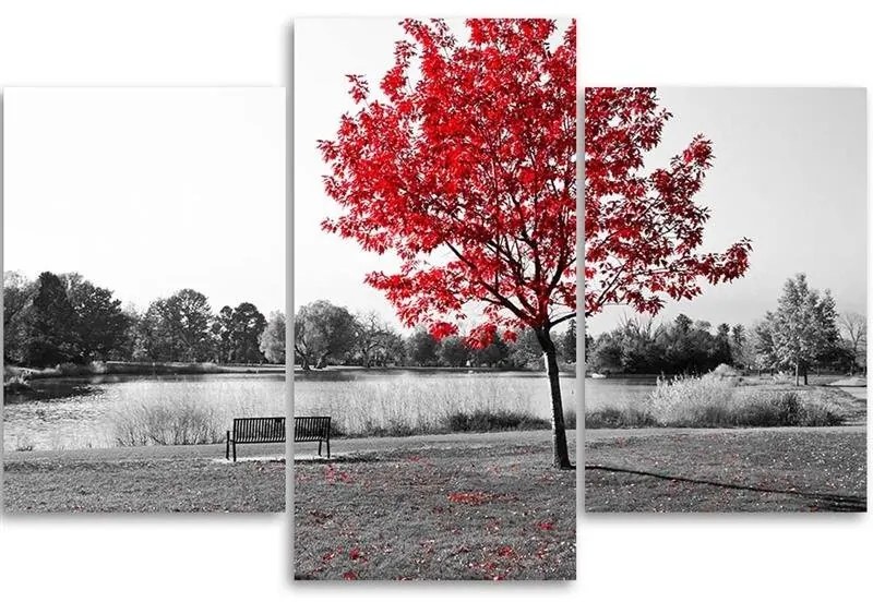Gario Obraz na plátně Strom s červenými listy - 3 dílný Rozměry: 60 x 40 cm