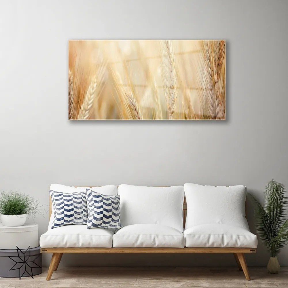 Obraz na skle Pšenice Rostlina Příroda 120x60 cm