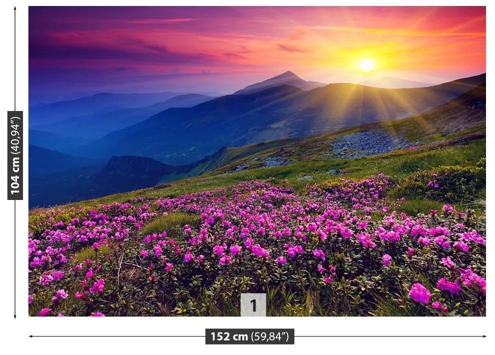 Fototapeta Rhododendron Květiny 104x70