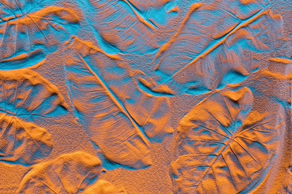 Samolepící tapeta textura listů v písku - 150x100 cm