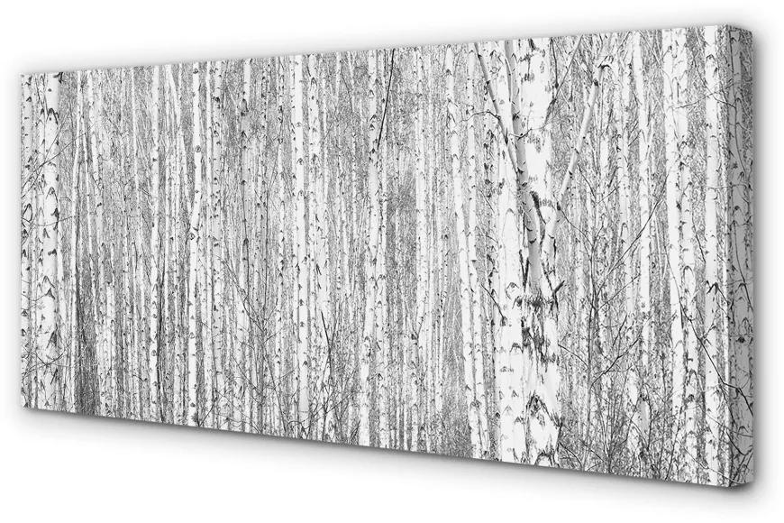 Obrazy na plátně Černá a bílá strom les 100x50cm