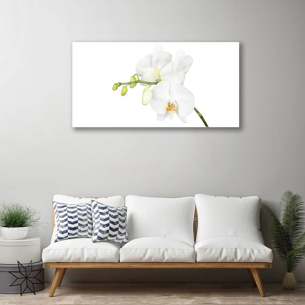 Obraz na skle Orchidej Květiny Příroda 125x50 cm