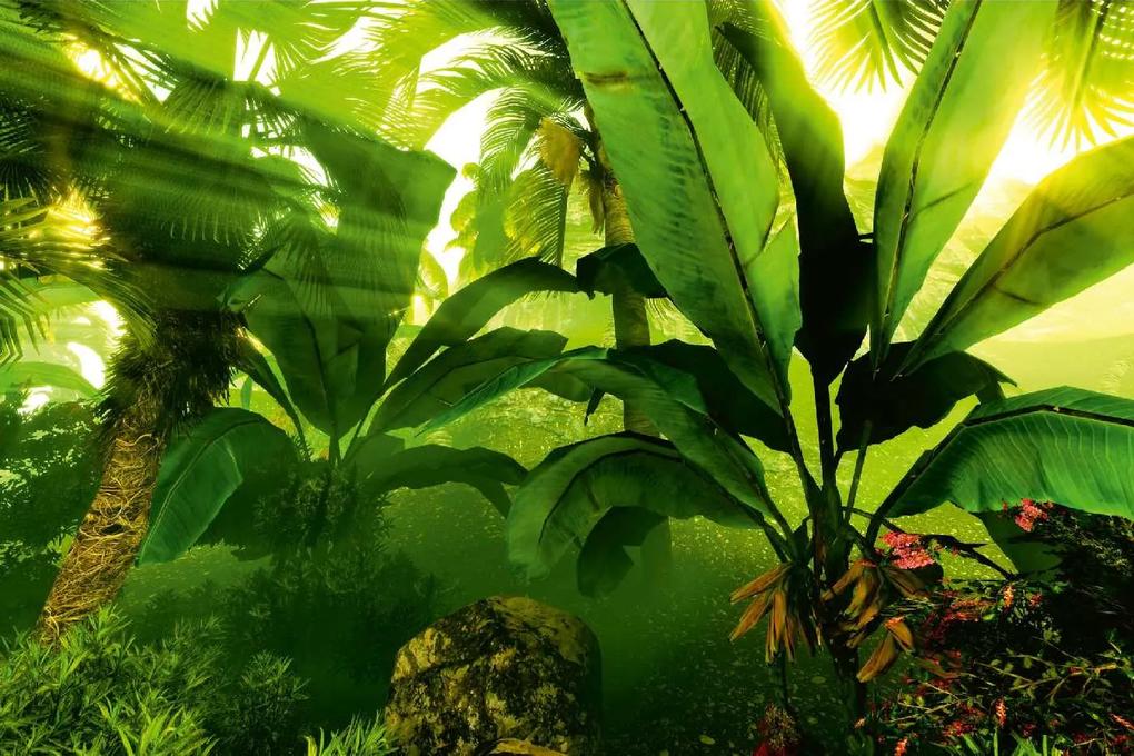 DIMEX | Samolepicí vliesová fototapeta na zeď Tropický deštný prales MA-5-1590 | 375 x 250 cm | zelená