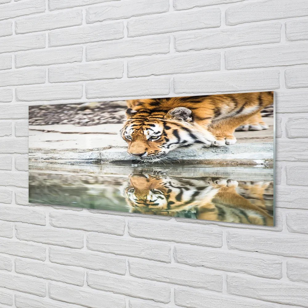 akrylový obraz tiger pití 120x60 cm