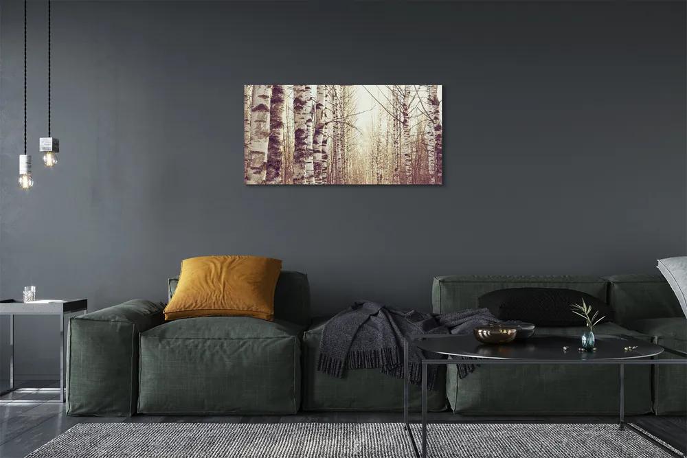 Obrazy na plátně stromy 140x70 cm