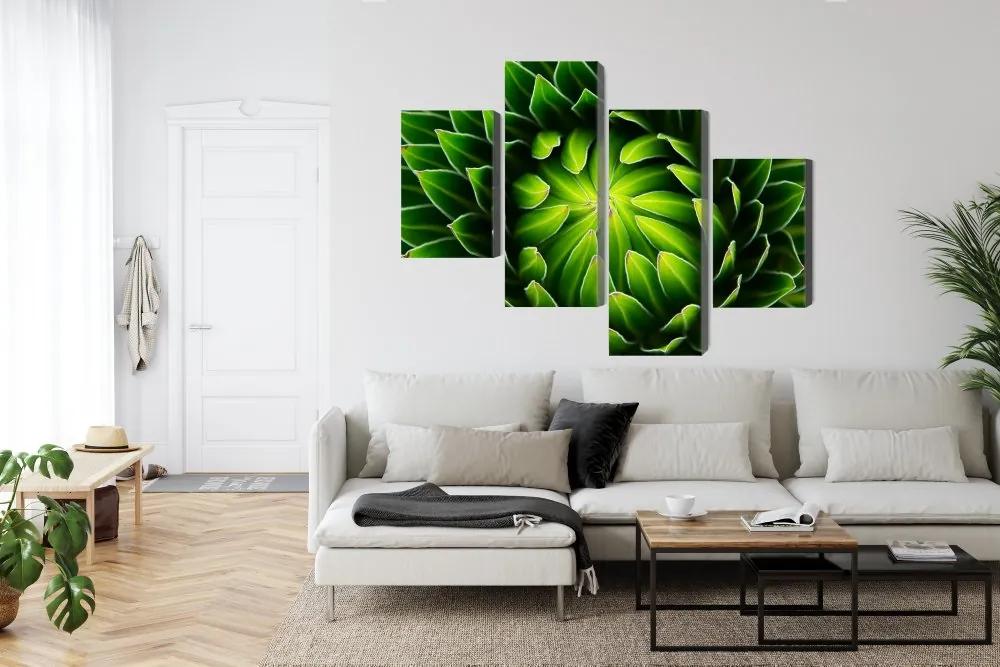 Vícedílný obraz Zelená Rostlina V Makro Měřítku Nedostatek Nedostatek Přírodní plátno 240x150
