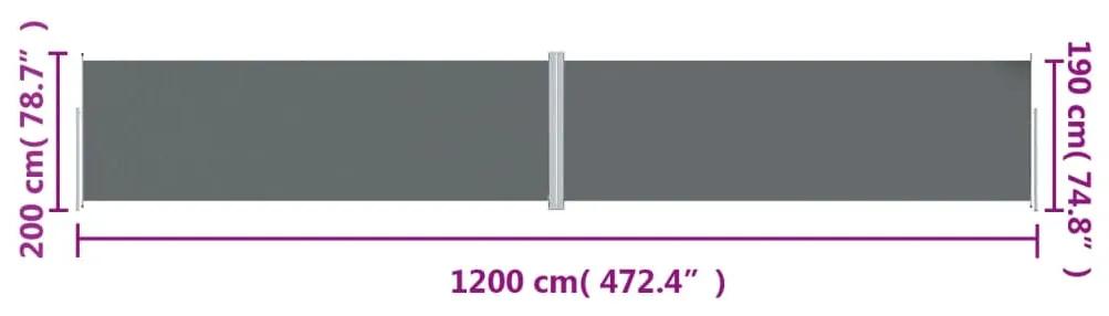 Zatahovací boční markýza antracitová 200 x 1 200 cm,  318080