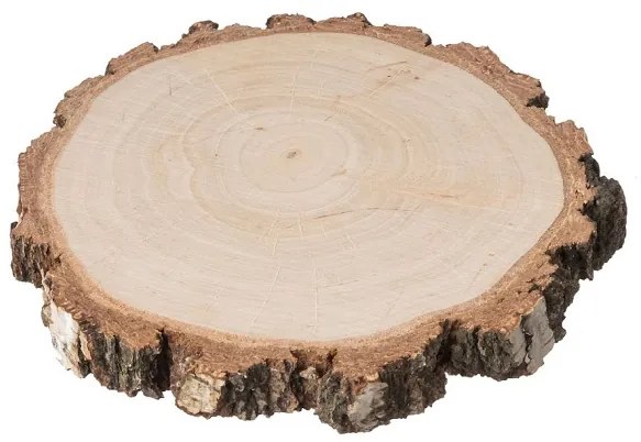 Dřevobox Dřevěná podložka z kmene břízy s kůrou 8-10 cm