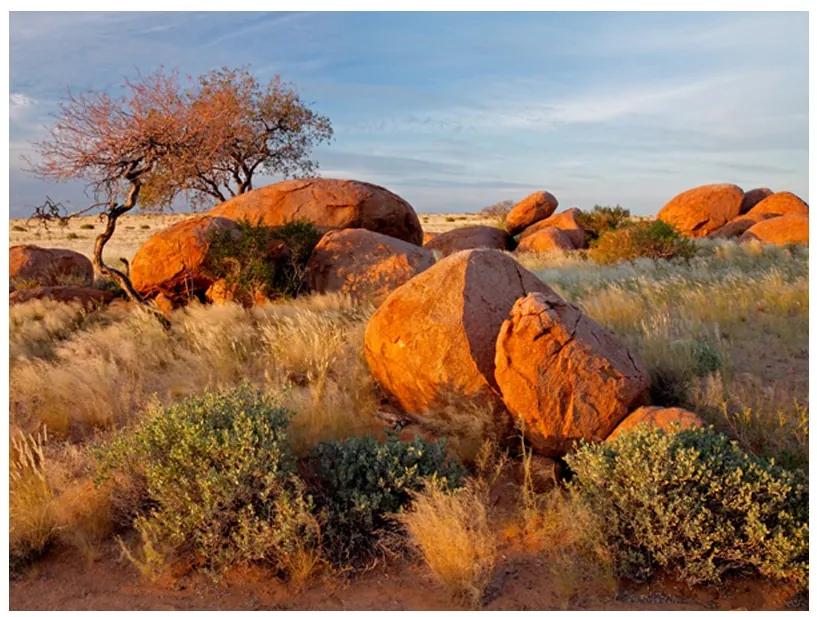 Fototapeta - African landscape, Namibia