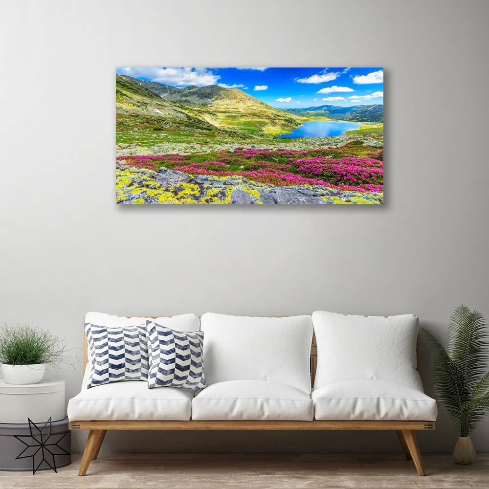 Obraz na plátně Hora Záliv Louka Příroda 140x70 cm