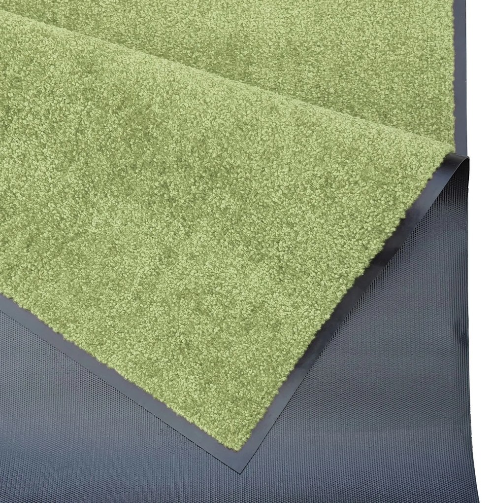 Hanse Home Collection koberce Rohožka Wash & Clean 101470 Green Rozměry koberců: 40x60