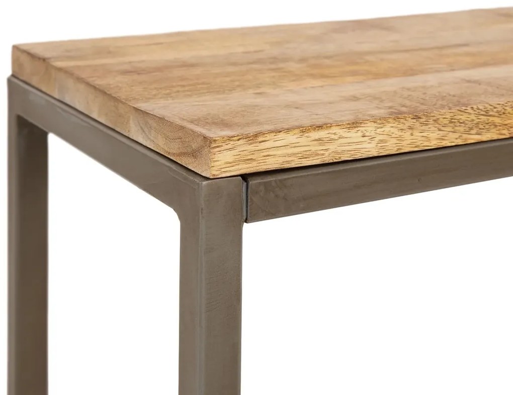 furniture-nabytek.cz - Masivní lavice Padma z mangového dřeva, lakovaná, hnědá