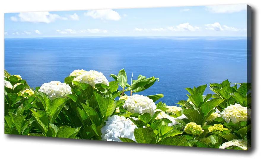 Wallmuralia Foto obraz na plátně Květiny nad mořem 100x50