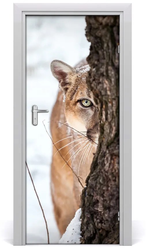 Fototapeta samolepící na dveře horská puma 75x205 cm