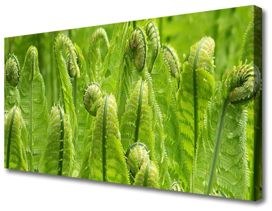 Obraz na plátně Rostlina Příroda 100x50 cm