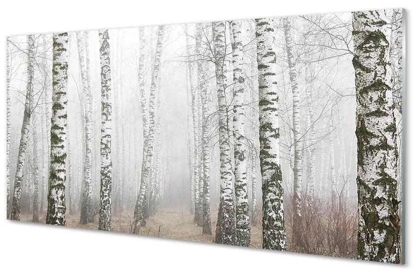 akrylový obraz mlha bříza 125x50 cm