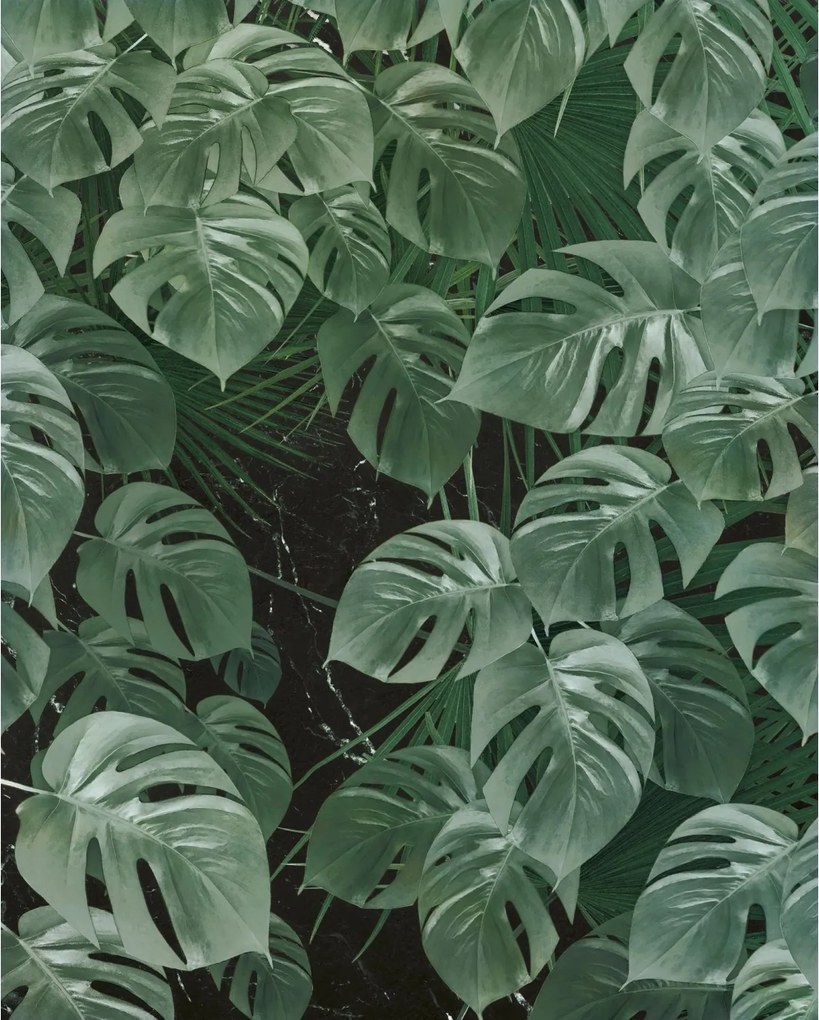 Komar Vliesová fototapeta Monstera on Marble 200 x 250 cm