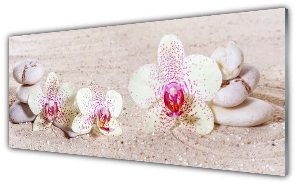 Plexisklo-obraz Orchidej Kameny Zen Písek 125x50 cm