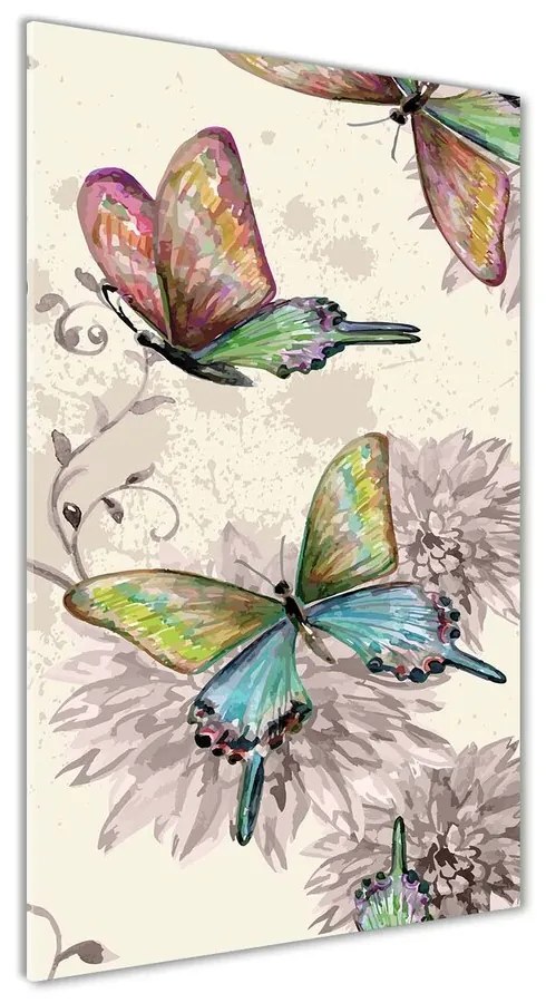 Wallmuralia Fotoobraz na skle Barevní motýli 60x120 cm