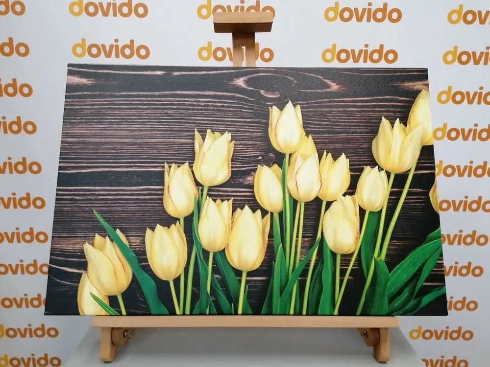 Obraz očarující žluté tulipány na dřevěném podkladě - 60x40 cm