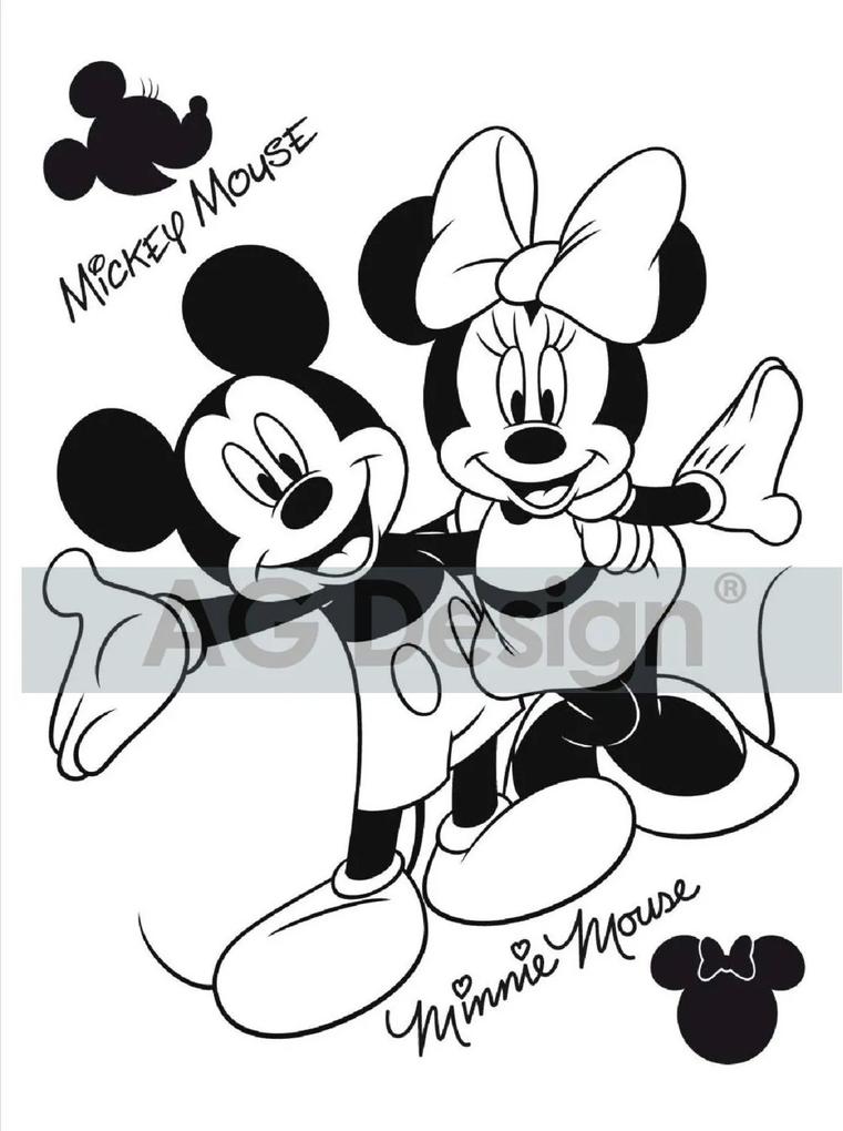 Moderní dekorace Mickey a Minnie semiš