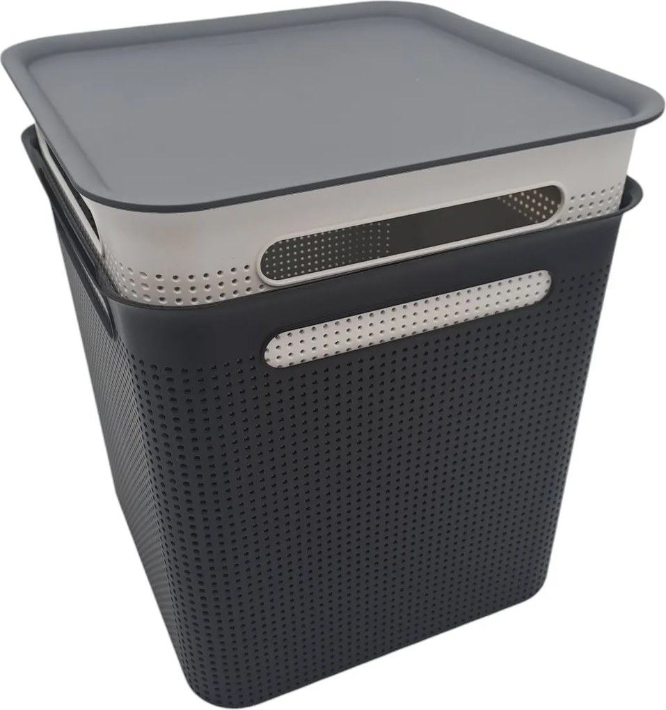 Rotho Úložný box s víkem a s madly BRISEN 18l, 29x29x29cm, bílý