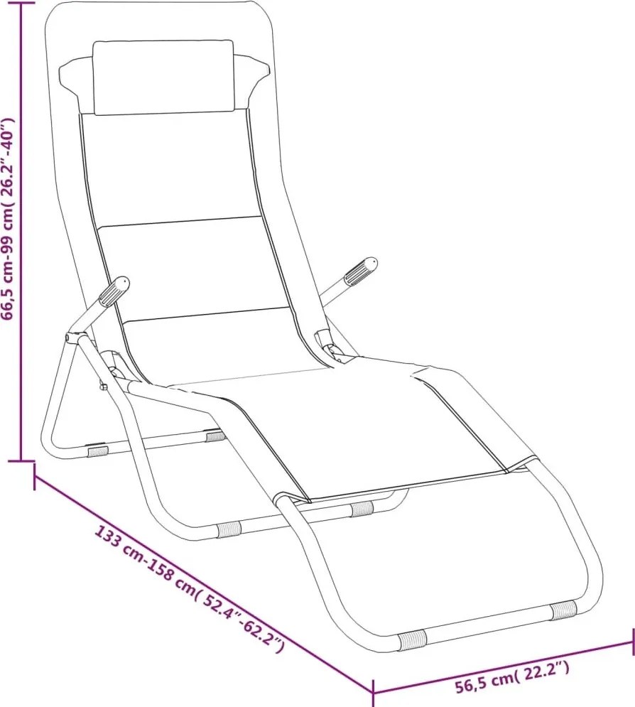 vidaXL Skládací lehátka 2 ks textilen/ocel s práškovým nástřikem [360172] Barva: Černá